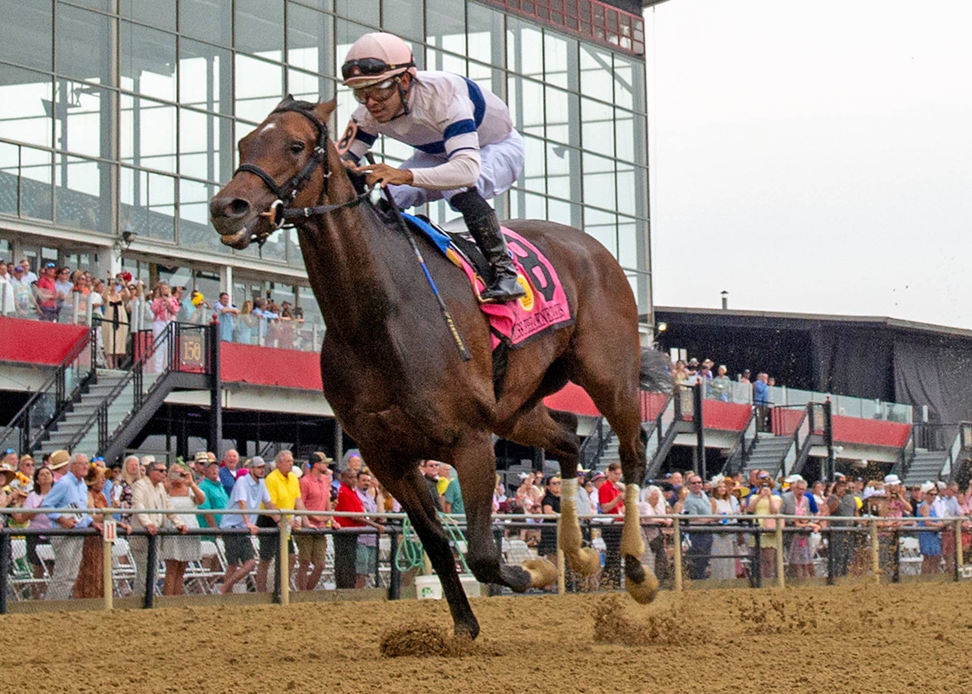 Echo Sound Takes Miss Preakness From Off The Pace, Eyes Test Next ...