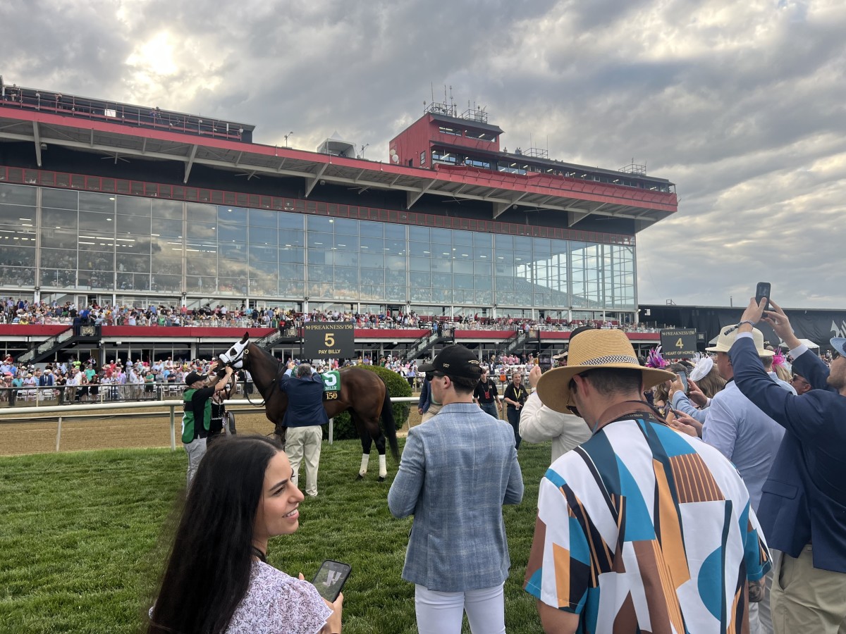 Maryland's Last Shot: Pay Billy Was A Local Hope For A Preakness In ...