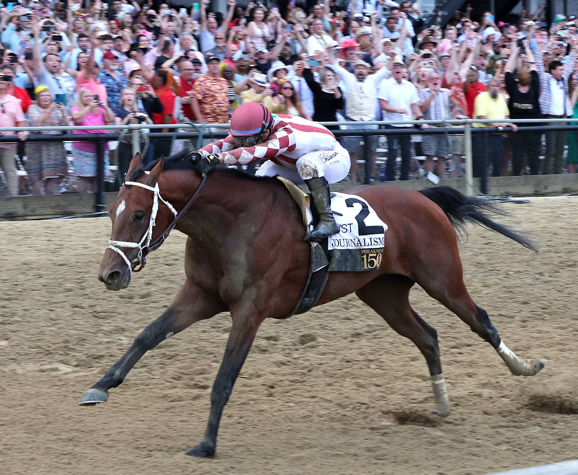Bloodlines Presented By Walmac Farm: Preakness Winner Journalism And ...