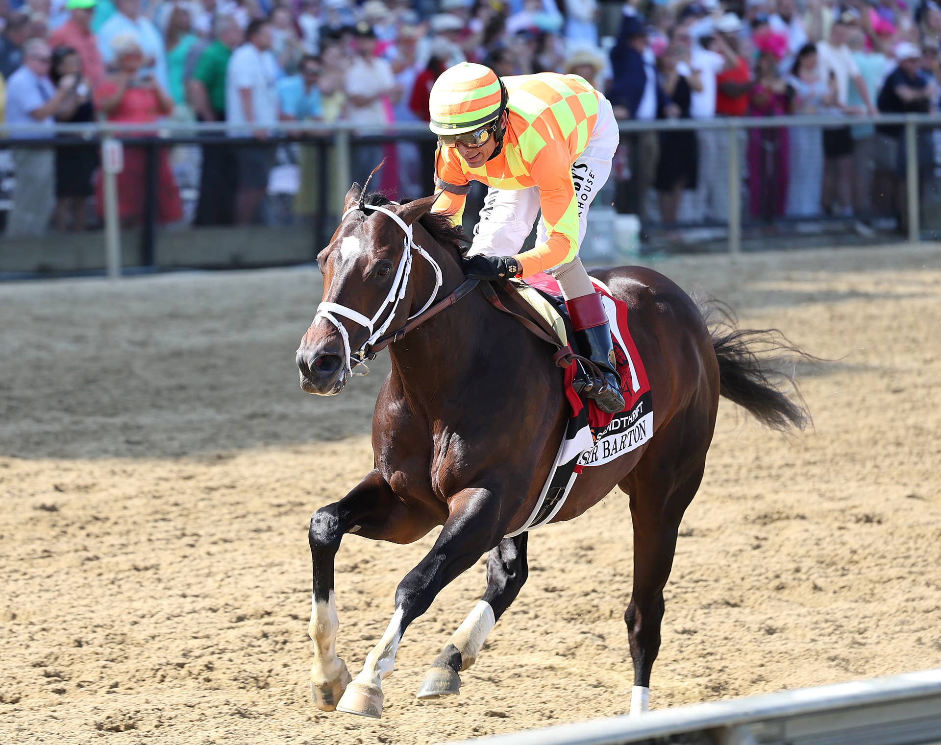 Crudo Goes Wire-To-Wire in Dominant Sir Barton Stakes Victory - Paulick ...