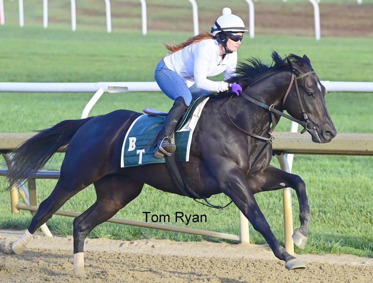 Kirkpatrick & Co. Presents In Their Care: Racetrack Life Of A Single ...