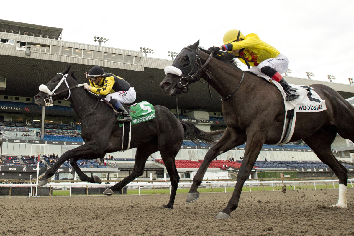 'Fit For This Race': Favorite Church And State Takes King Corrie With ...