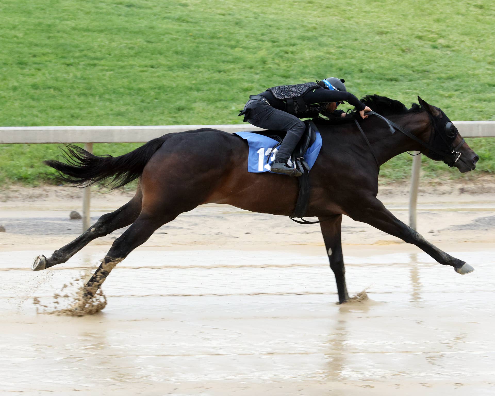 Spendthrift Rookie Combine: Yaupon Makes An Impact At Fasig-Tipton ...