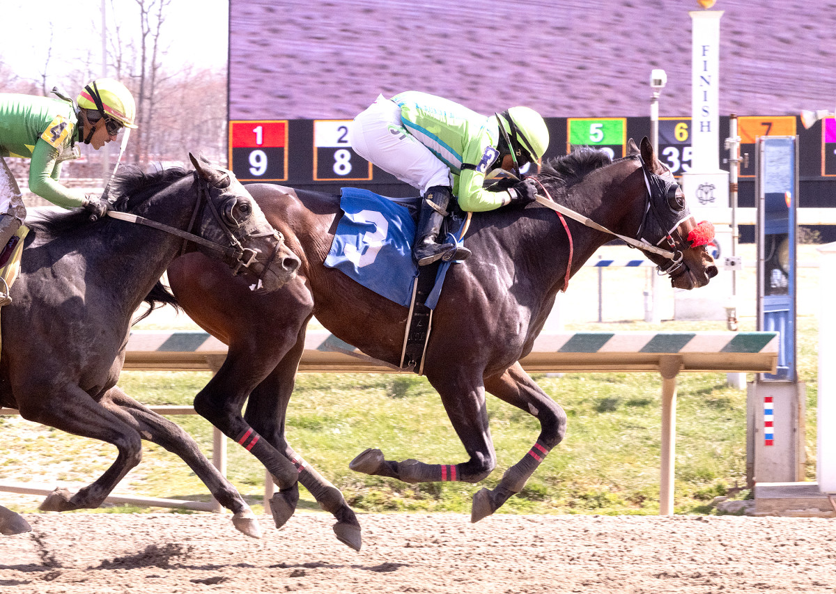 Bidding Now Open For Inglis Digital USA May Sale - Paulick Report ...