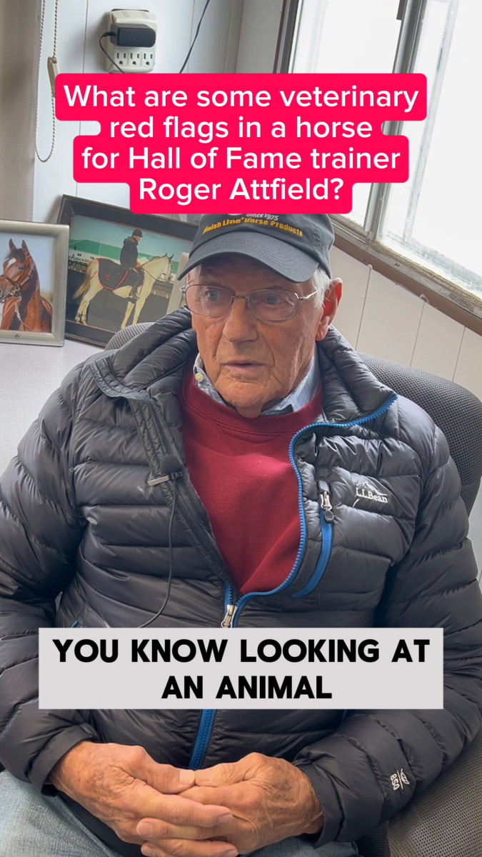 What Are Trainer Roger Attfield's Veterinary Red Flags For A Racehorse ...