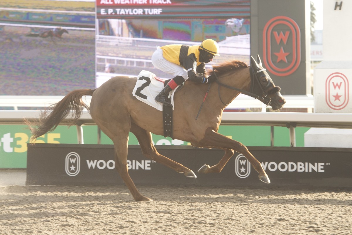 Metaphysical Highlights First Turf Stakes Of 2025 At Woodbine - Paulick ...