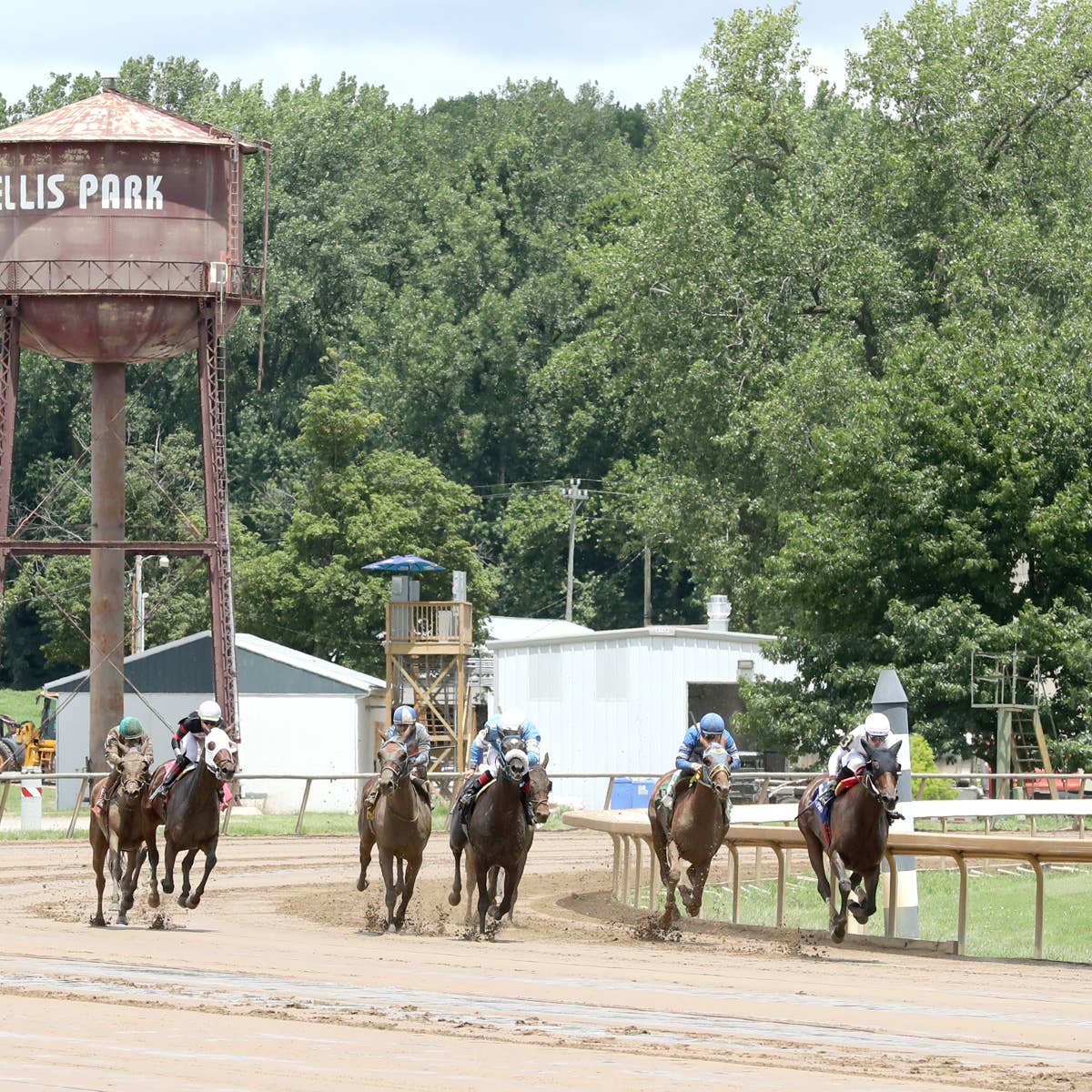 Ellis Park Meet Sees Record $77 Million Handle - Paulick Report ...