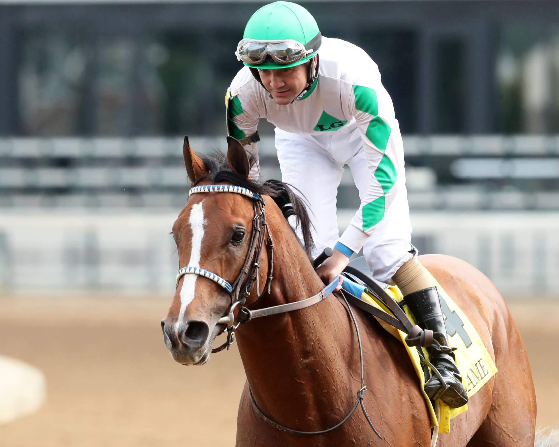Mystik Dan, Hit Show Log Final Breezes For Lukas Classic - Paulick ...