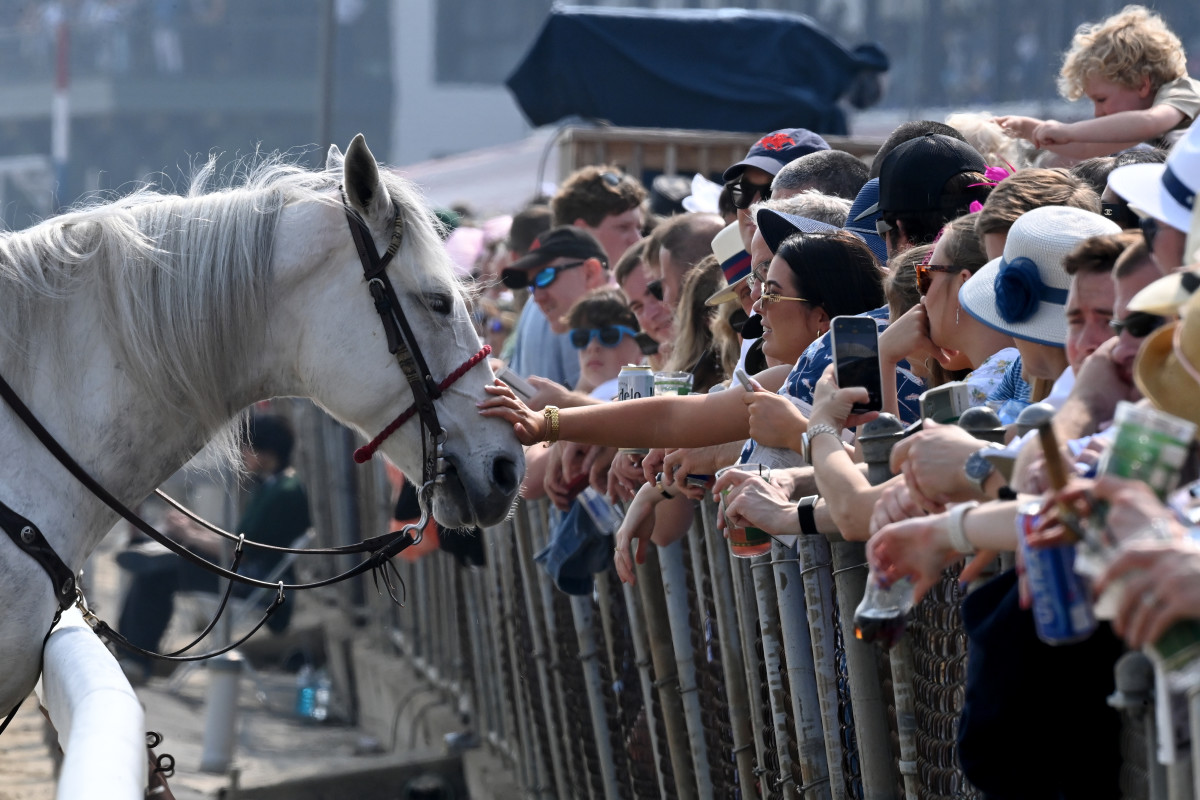 Saratoga To Host Make-A-Wish Kids, Families On July 16 - Paulick Report ...
