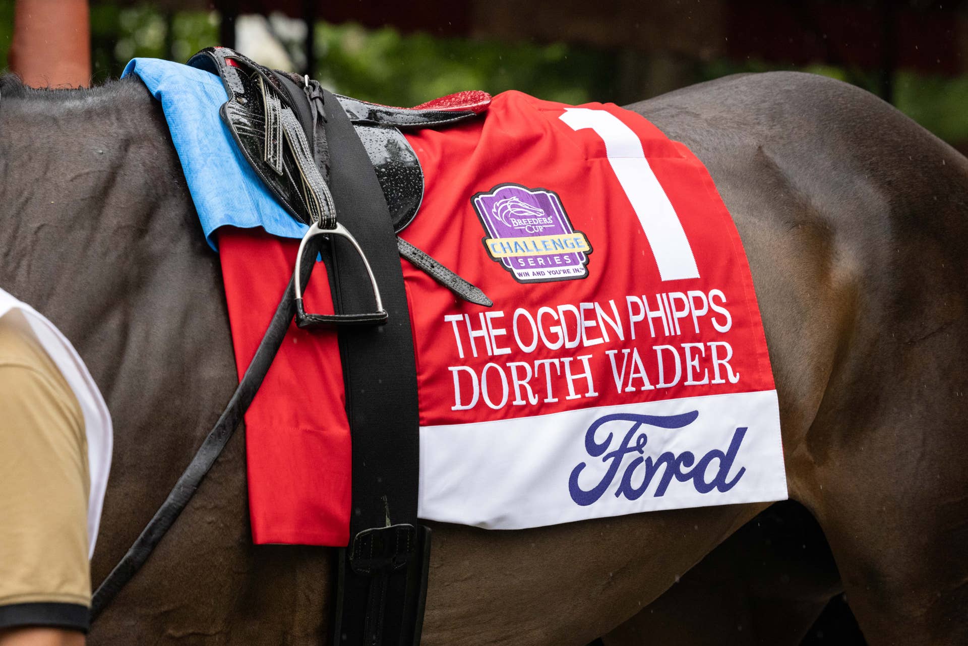 Named For An 'Intergalactic Villain'? Homebred Embodied The Faith Of ...
