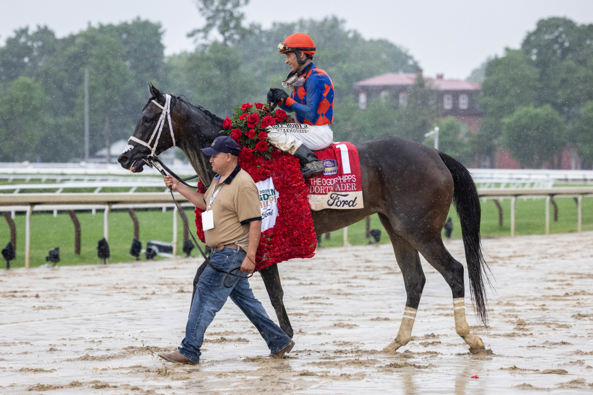 Dorth Vader Works For Distaff, Ships To Del Mar On Oct. 22 - Paulick ...
