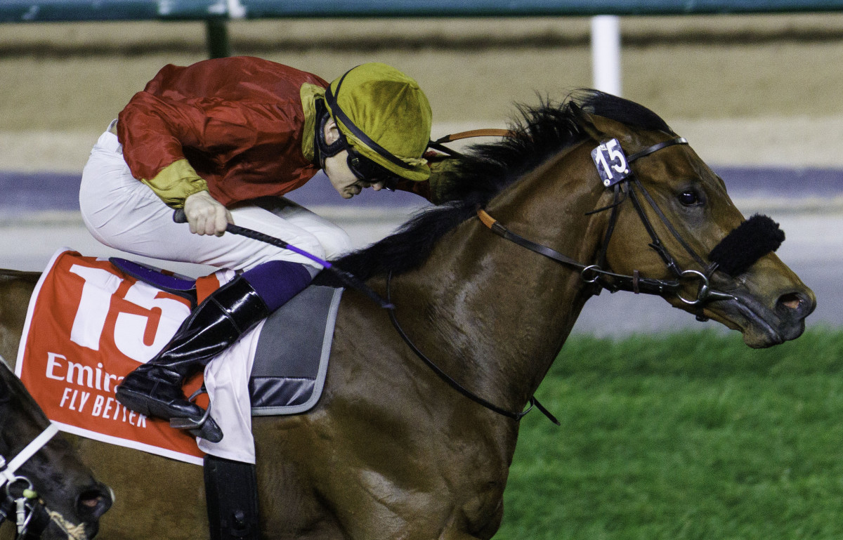 Track Record-Setting West Acre Has Breeders' Cup Aspirations Via Royal ...