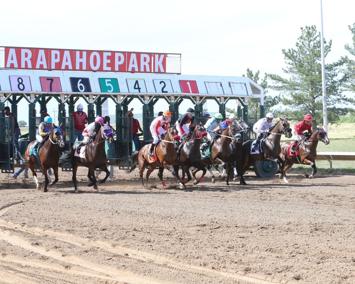 Arapahoe Park Delays Race Meet Application; 'Our Corporate Body Is ...