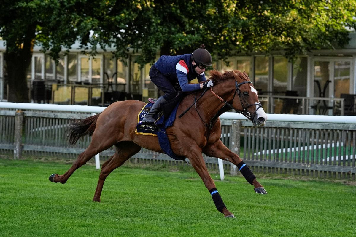 No Cox Plate For Carl Spackler, Now In John And Thady Gosden Barn ...