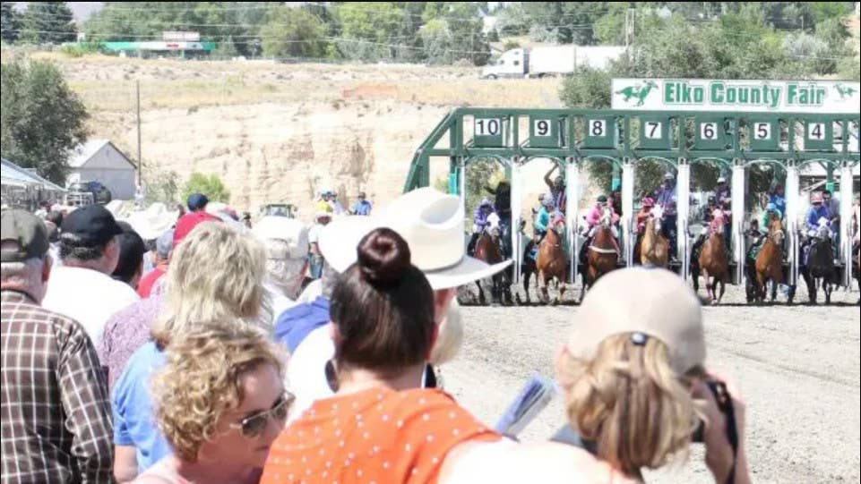 Quarter Horse Trainer Fined $100,000, Barred 15 Years Over ...