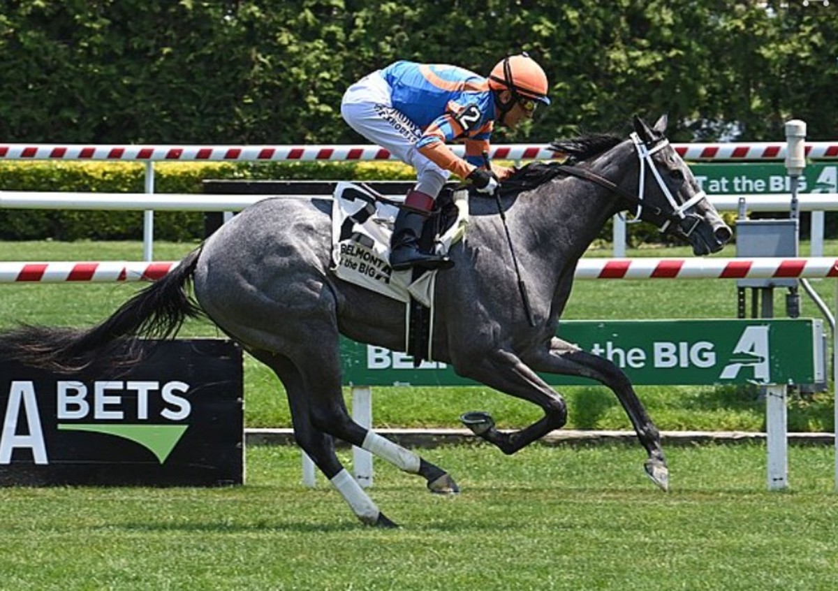 Nonna's Love, Half-Sister To Fierceness, Wins Maiden Special Weight At Aqueduct - Paulick Report ...