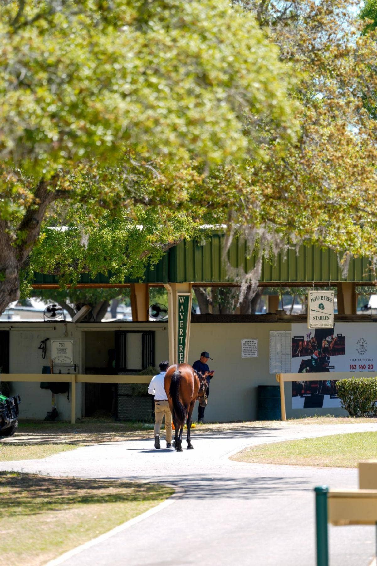 Nyquist Colt Fulfills 'High Expectations' With :9 3/5 Breeze At OBS ...