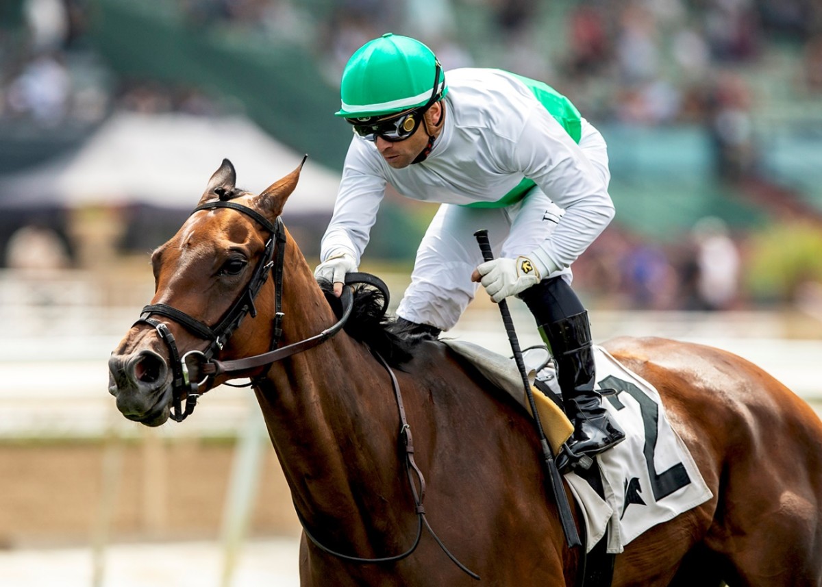 Late-Surging Mrs. Astor Prevails By Slimmest Margin In Possibly Perfect ...