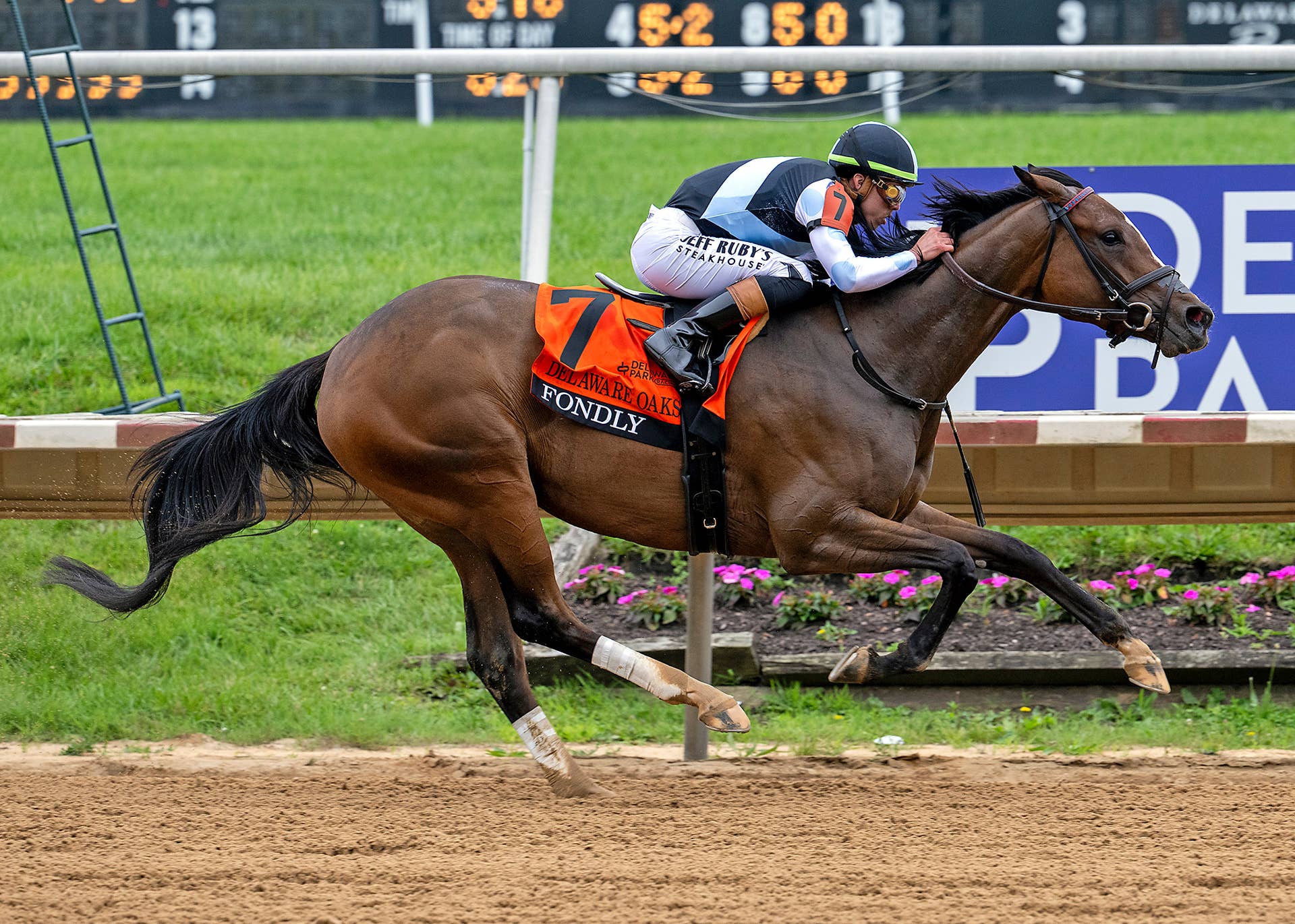 Fondly Roars Back In Delaware Oaks - Paulick Report | Latest news and ...