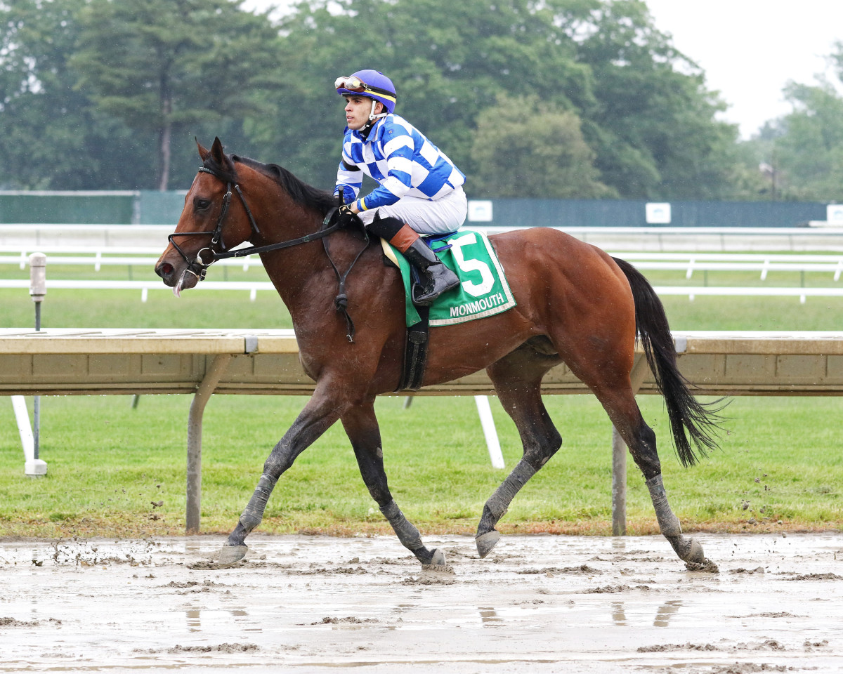 Bloodlines Presented By Walmac Farm: Bracket Buster's Path To Pegasus ...