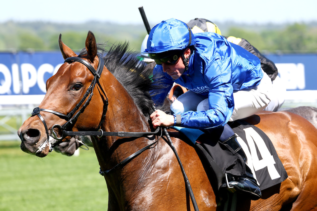 Win And You're In: Charles Darwin, Wise Approach Among Key Norfolk ...