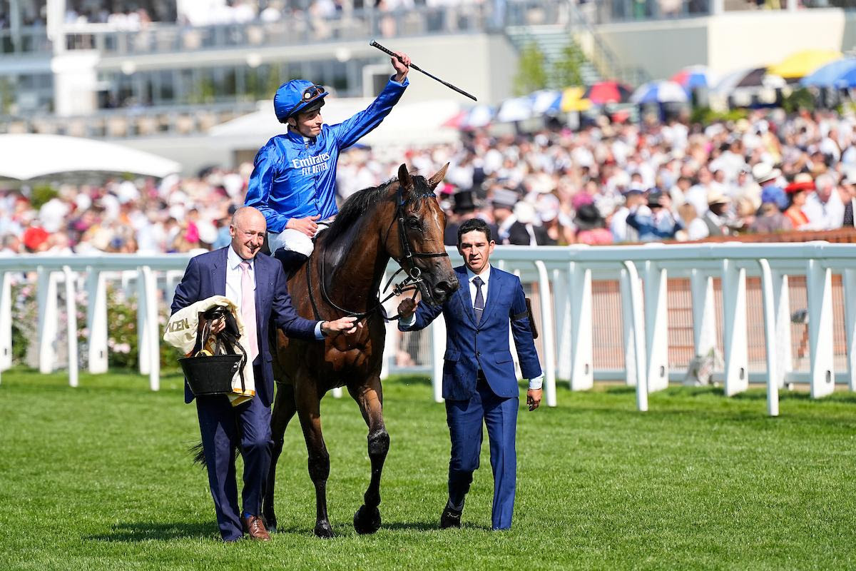 Trawlerman Runs Rivals Off Their Feet, Sets Course Record In Royal ...