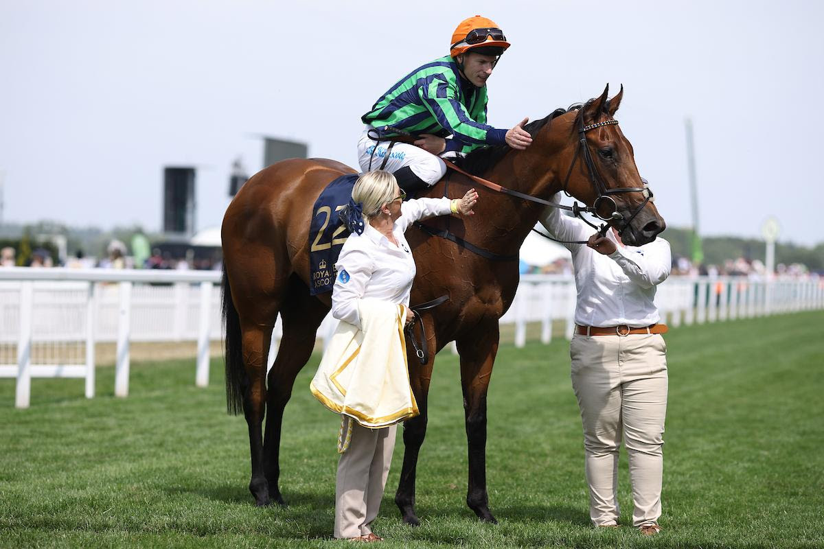 Time For Sandals Completes 'Extraordinary' Royal Ascot For Harry ...