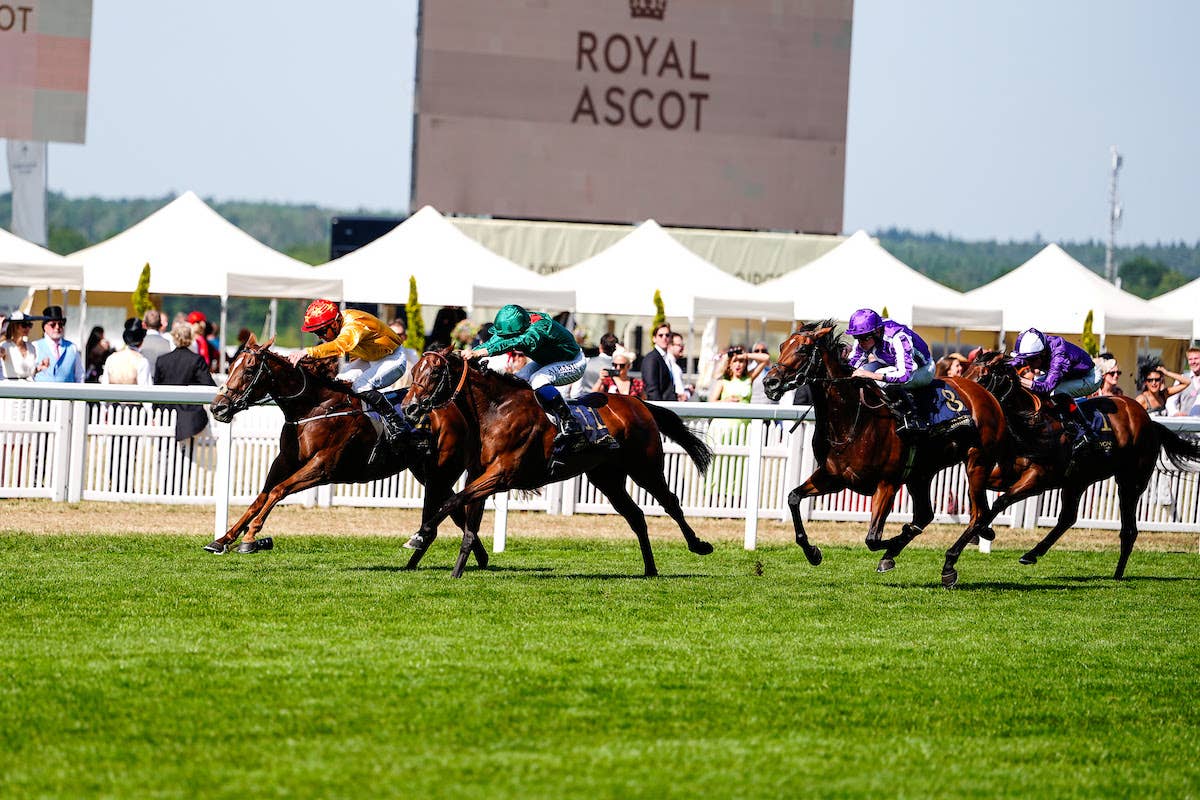 'Lifetime's Ambition': Trainer, Jockey Score First Group 1 Success With ...