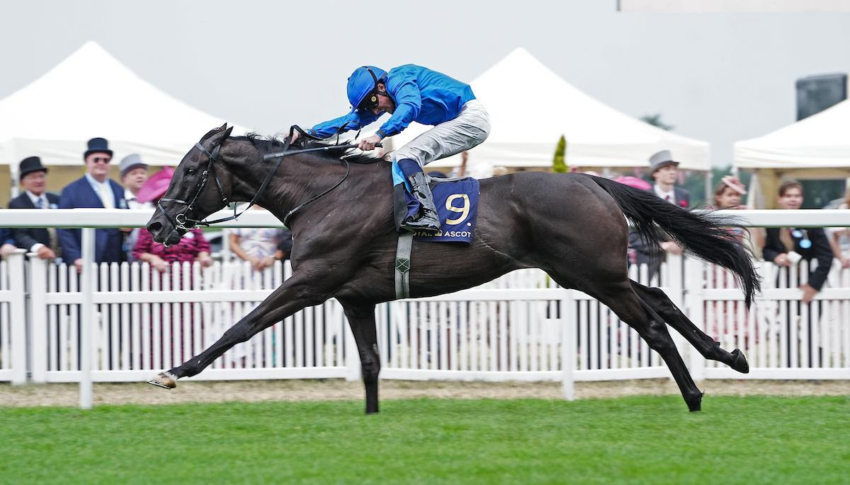 Two-Time Breeders' Cup Winner Rebel’s Romance Wins Hardwicke In Royal ...