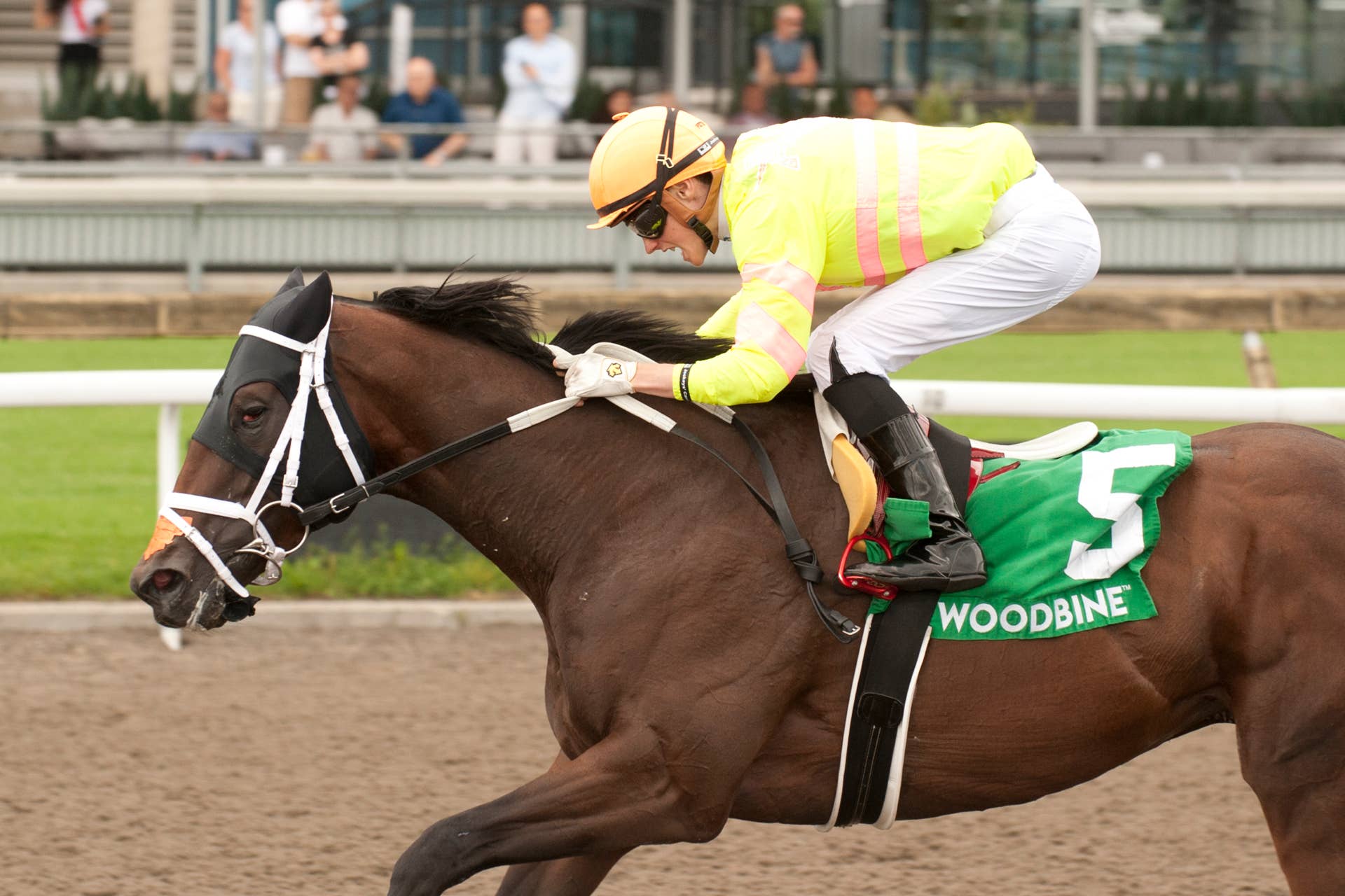Mansetti Powers Home In Woodbine's Marine - Paulick Report | Latest ...