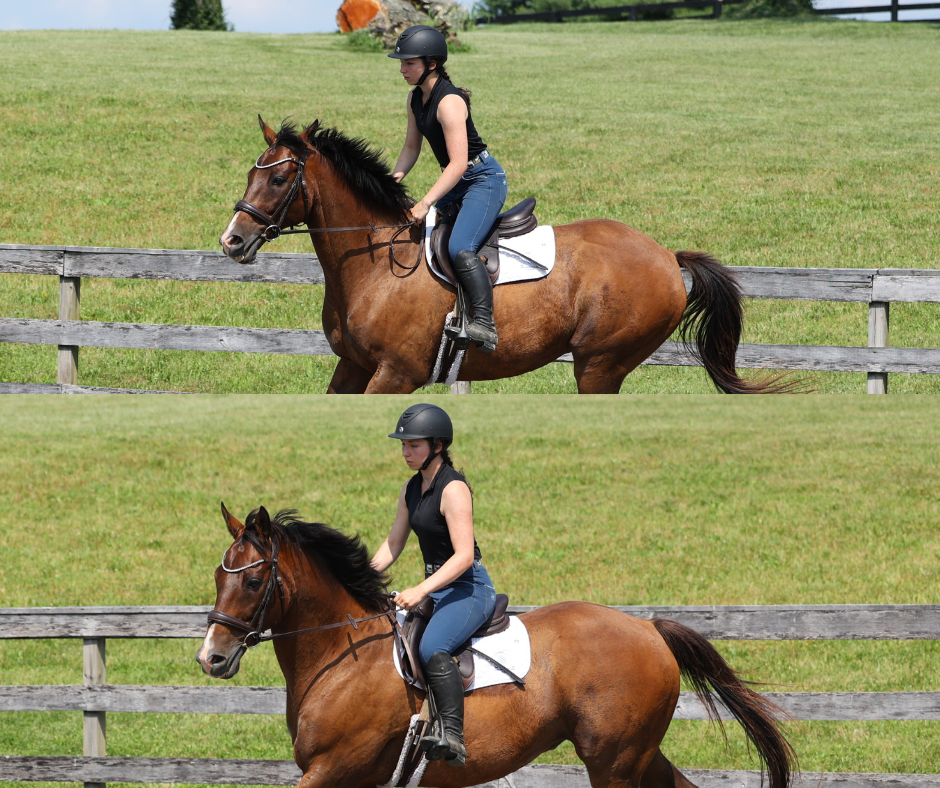 OTTB Training Toolkit Presented By Doc Lane's Pharmacy: Mind Your Bum ...