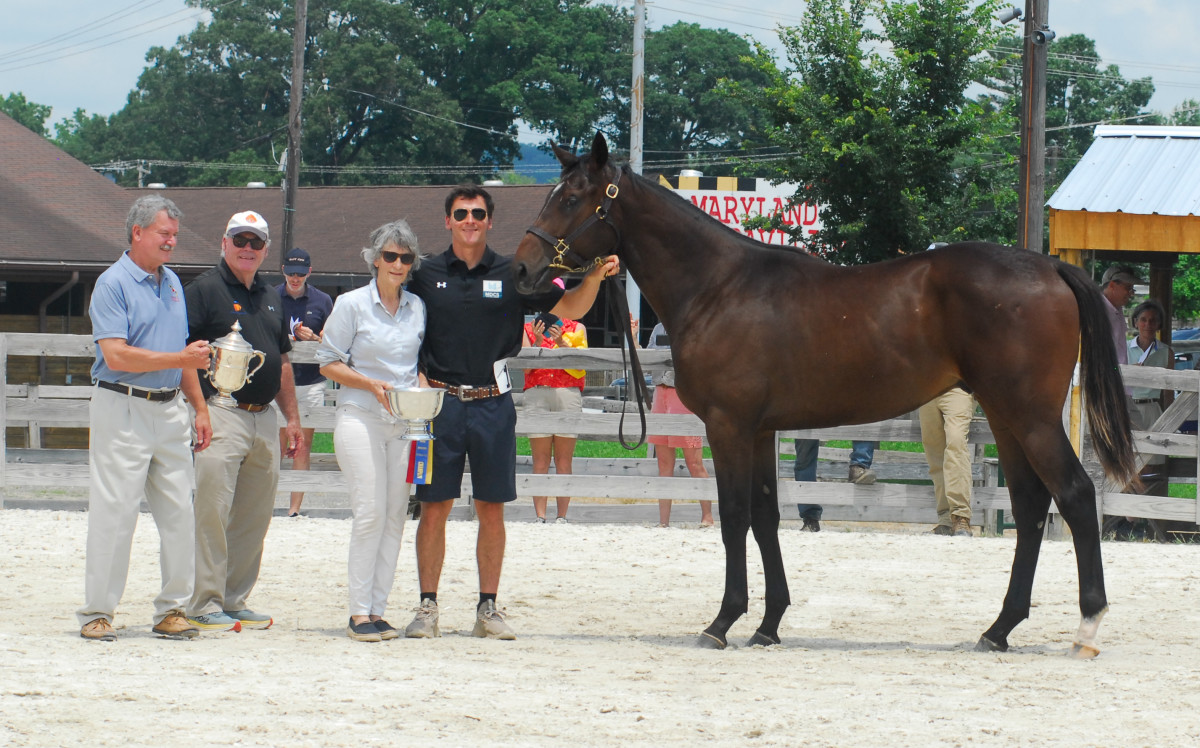 Merryman's Great Notion Colt Takes 91st Annual Maryland Yearling Show ...
