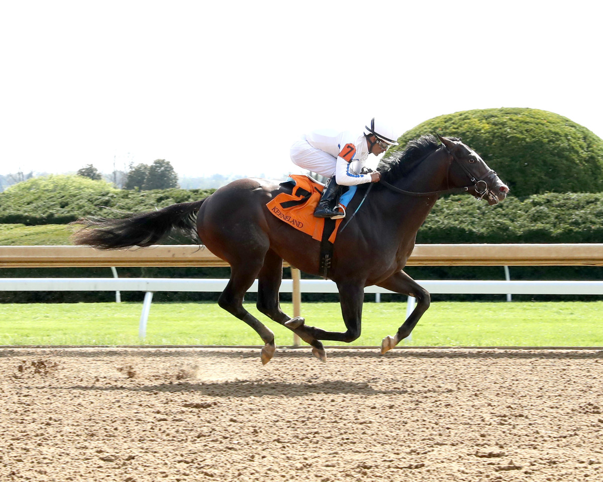 ‘Talented’ Big Truzz Goes Long In ‘Competitive’ Indiana Derby - Paulick ...