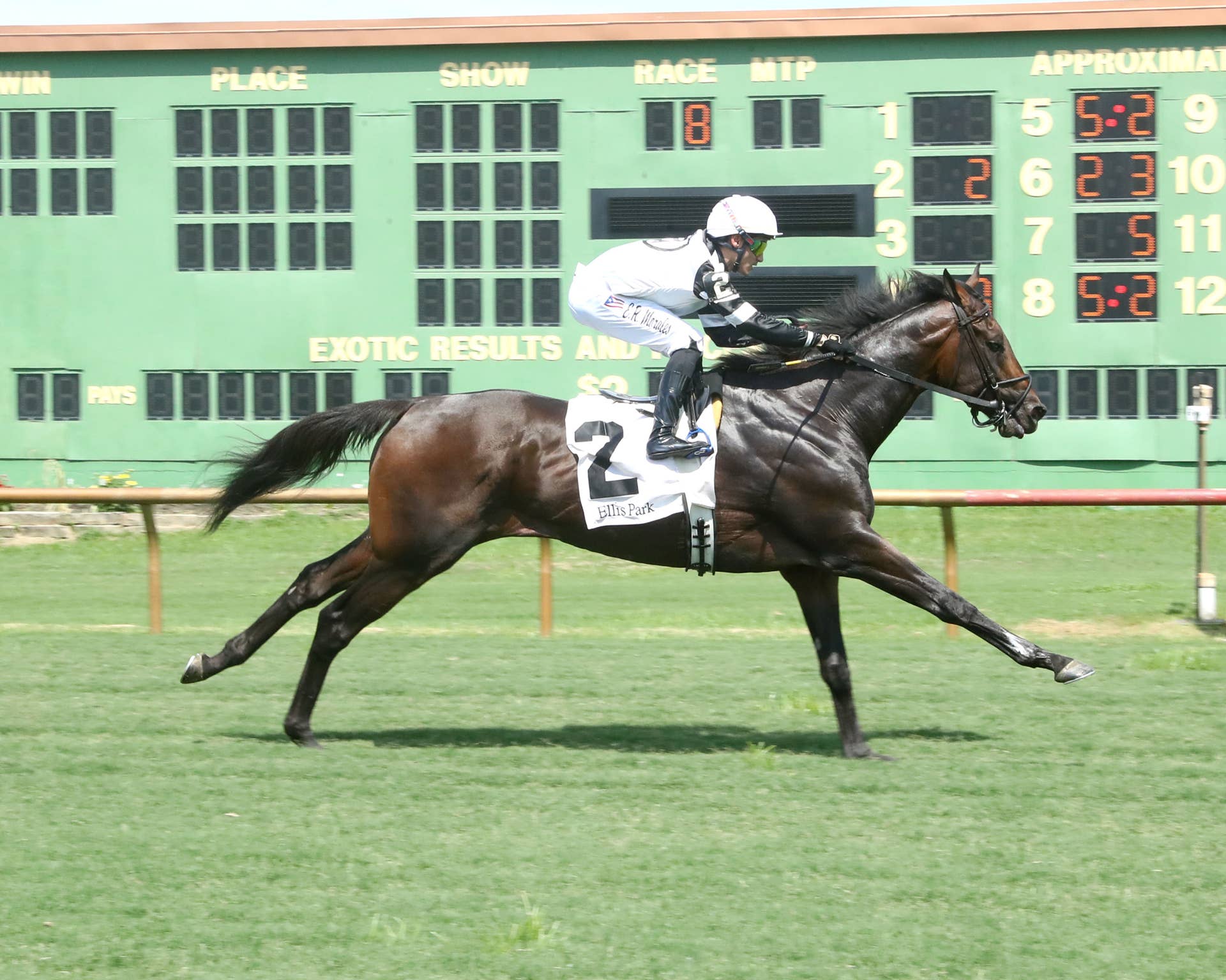 Troubleshooting Storms Home In Dade Park Dash In Stakes Debut - Paulick ...