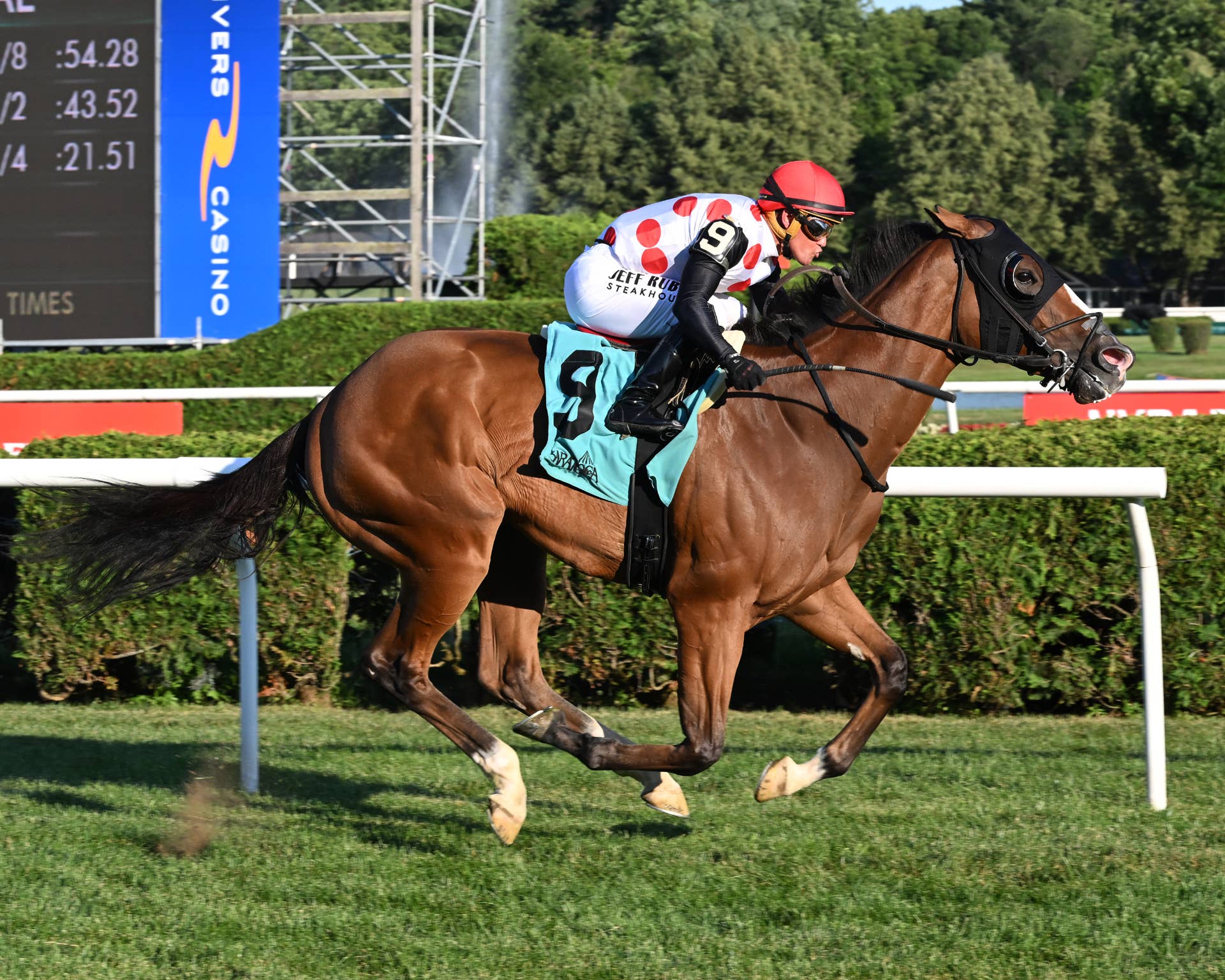 ‘Special Horse’: Bring Theband Home In Career Best Form Ahead Of Troy ...