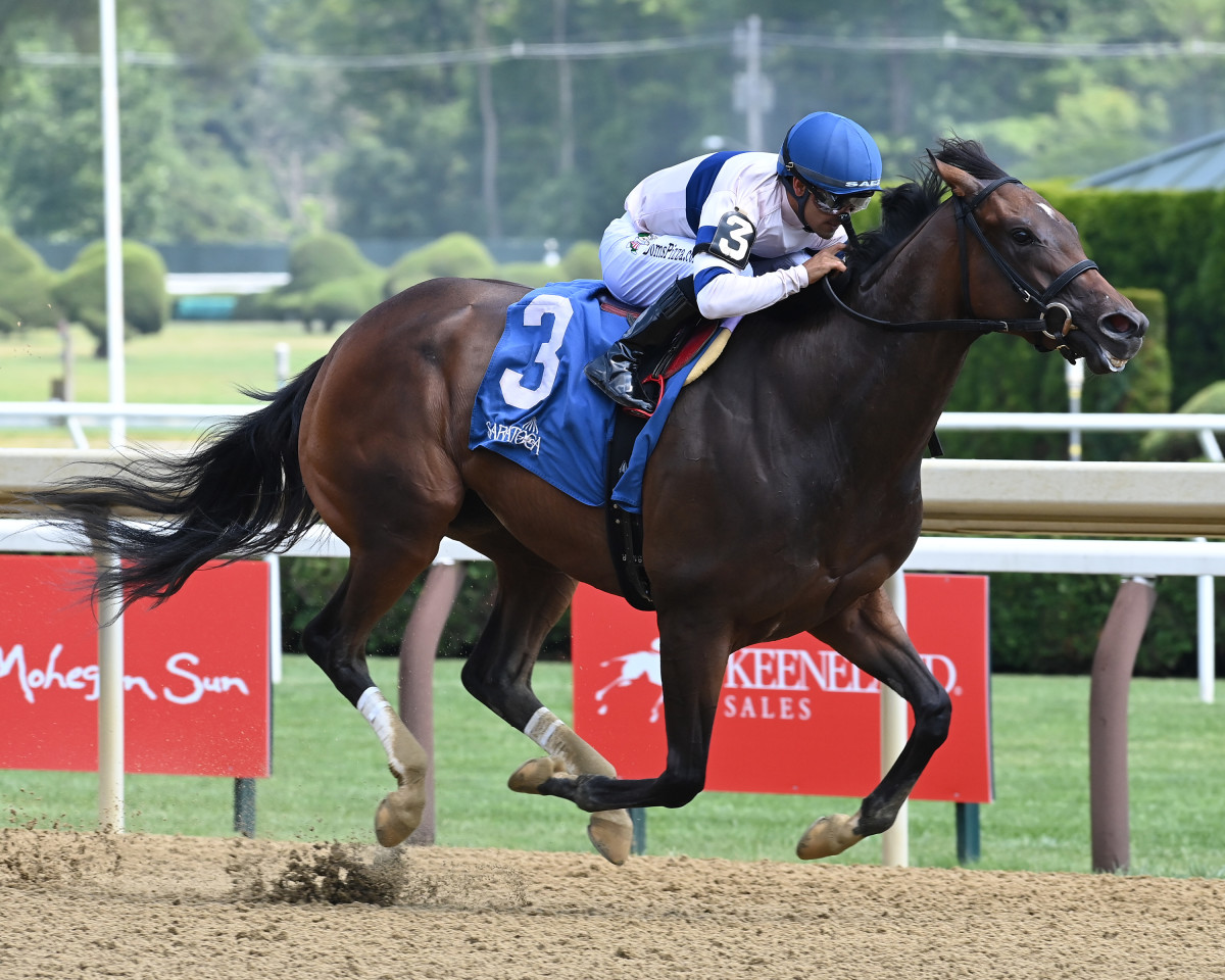 'Hard Not To Go There': Echo Sound Candidate For Test After Victory ...