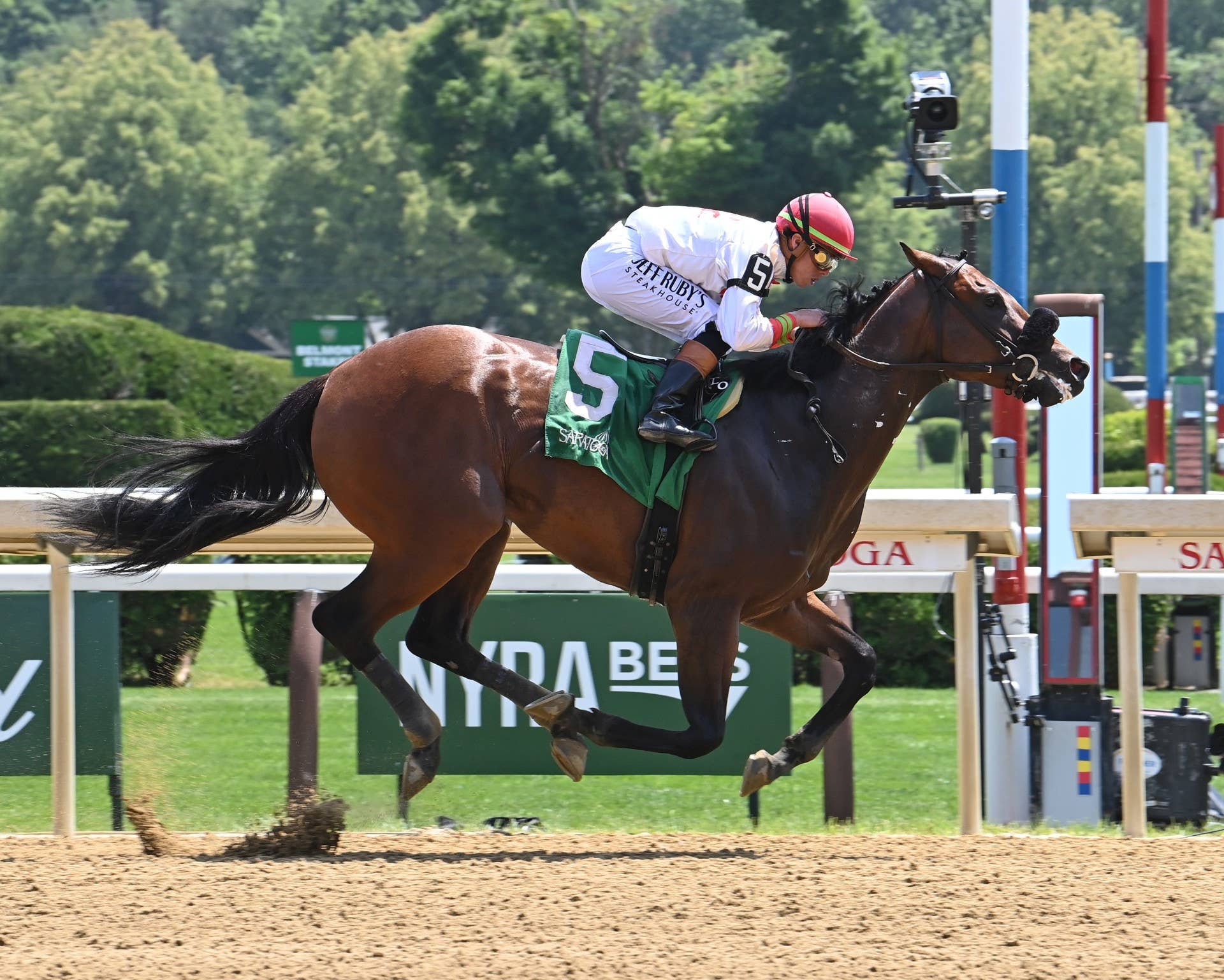New York Derby, Oaks On Deck Monday At Finger Lakes - Paulick Report ...