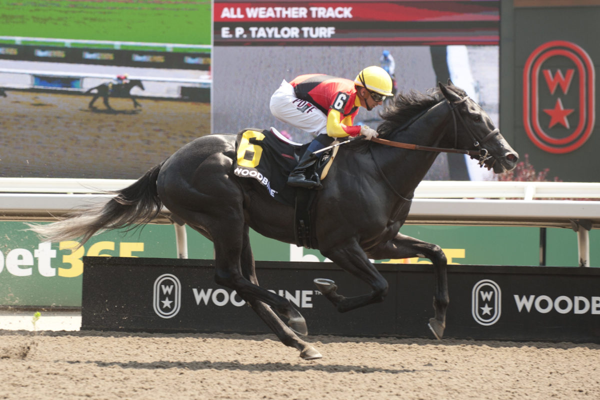 Casson Leads In Trifecta For Mark Casse In Woodbine's Victoria ...
