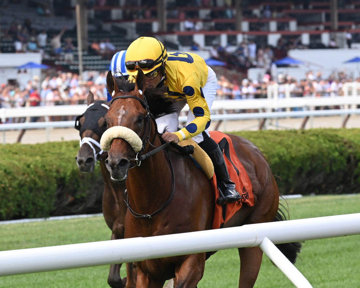 Far Bridge Works Toward Sword Dancer Defense - Paulick Report | Latest ...