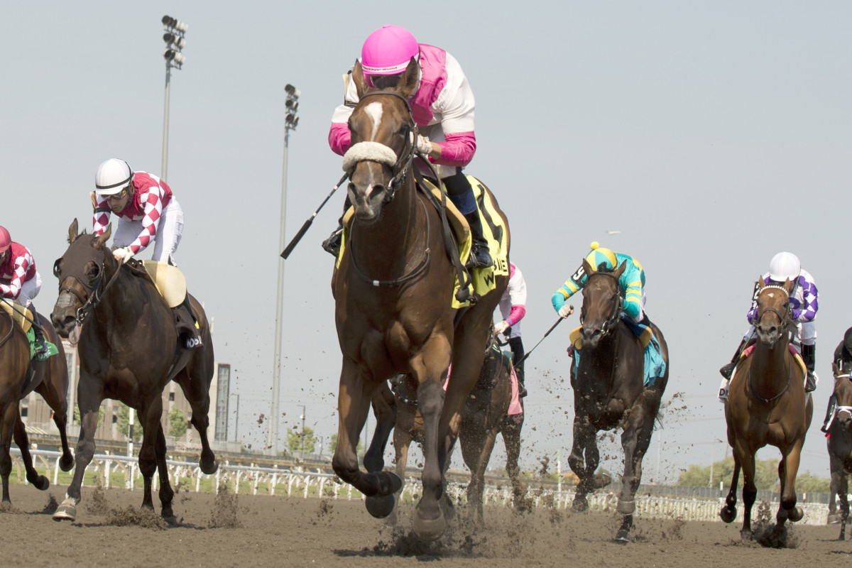 'Pretty Sharp Little Filly': Border Czar Finishes Strong In My Dear At ...