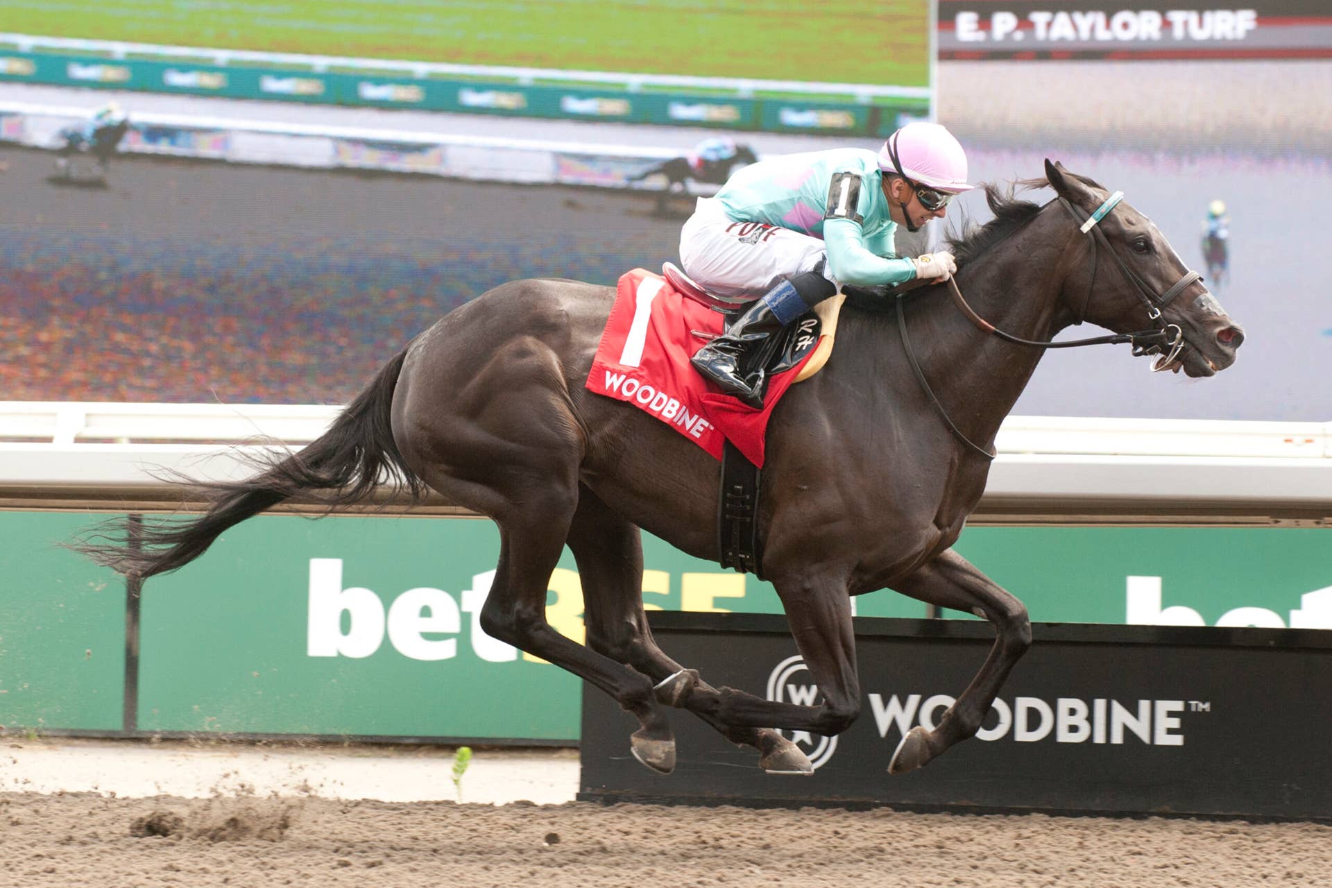 Olivia Rose Dominates Ballade Rivals On Front End - Paulick Report ...