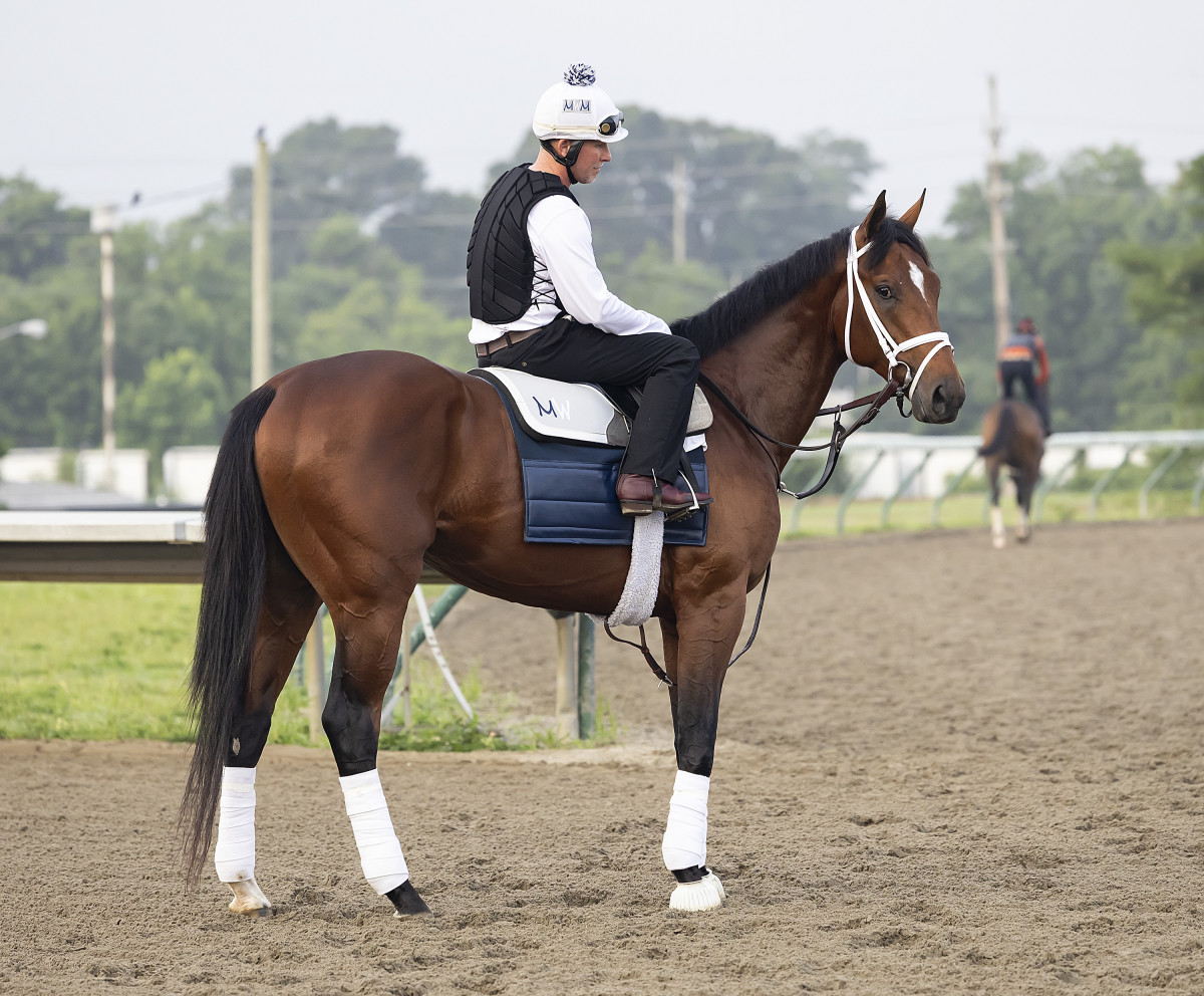 ‘Best I’ve Ever Been On’: Exercise Rider Lauds Journalism Ahead Of ...