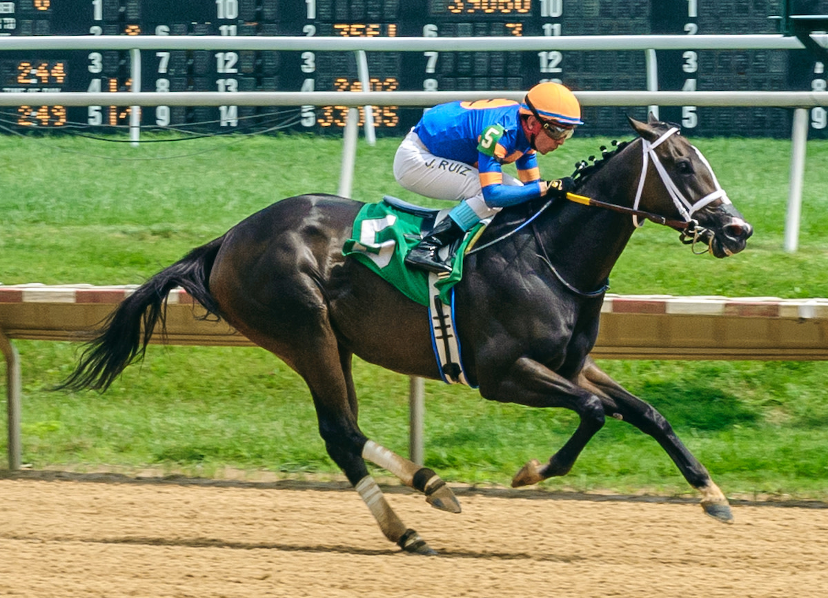 'She Galloped Today': Mystic Lake Dominant In Dashing Beauty - Paulick ...