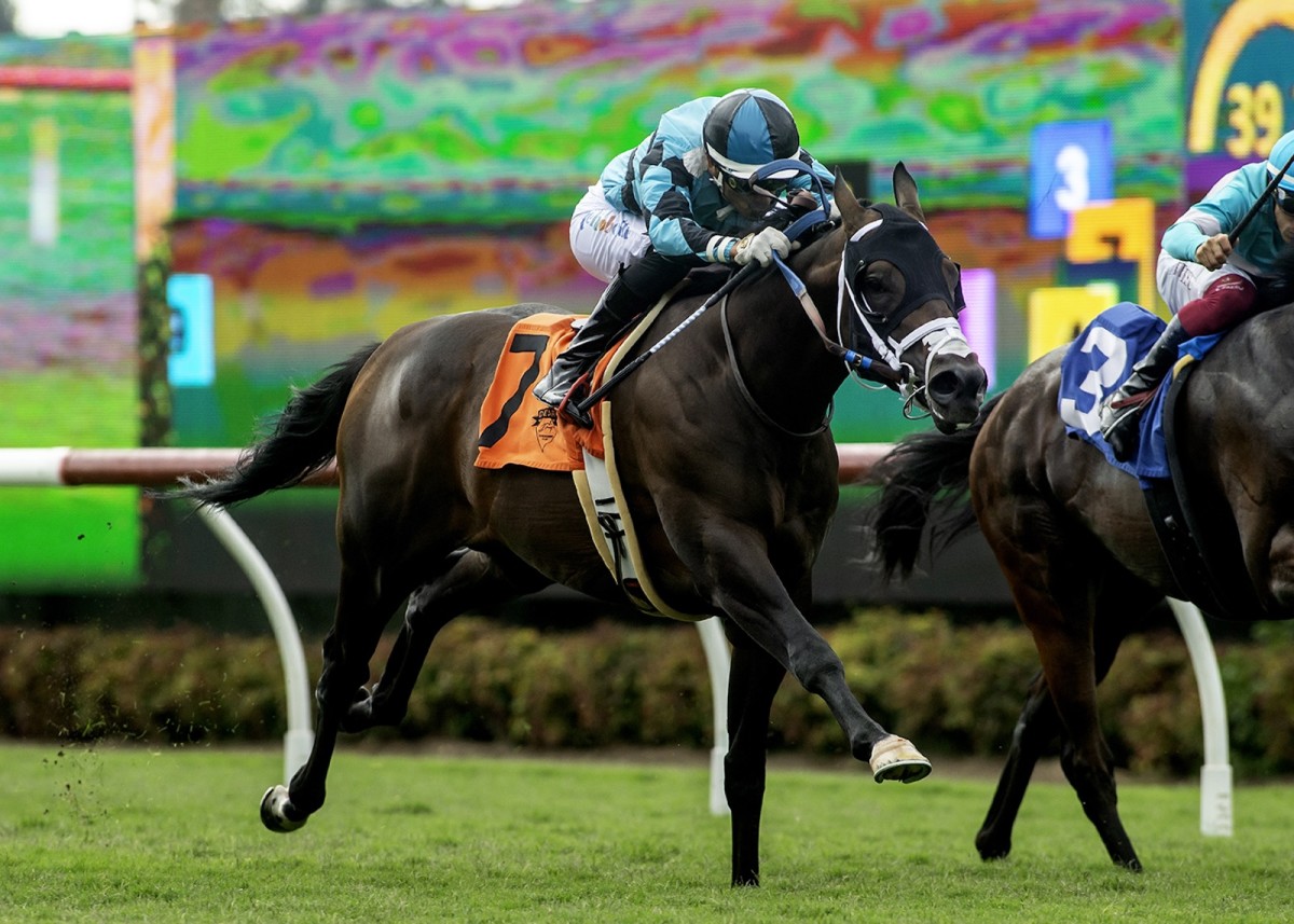 Game Warrior Upsets Del Mar's Opening Day Oceanside - Paulick Report ...