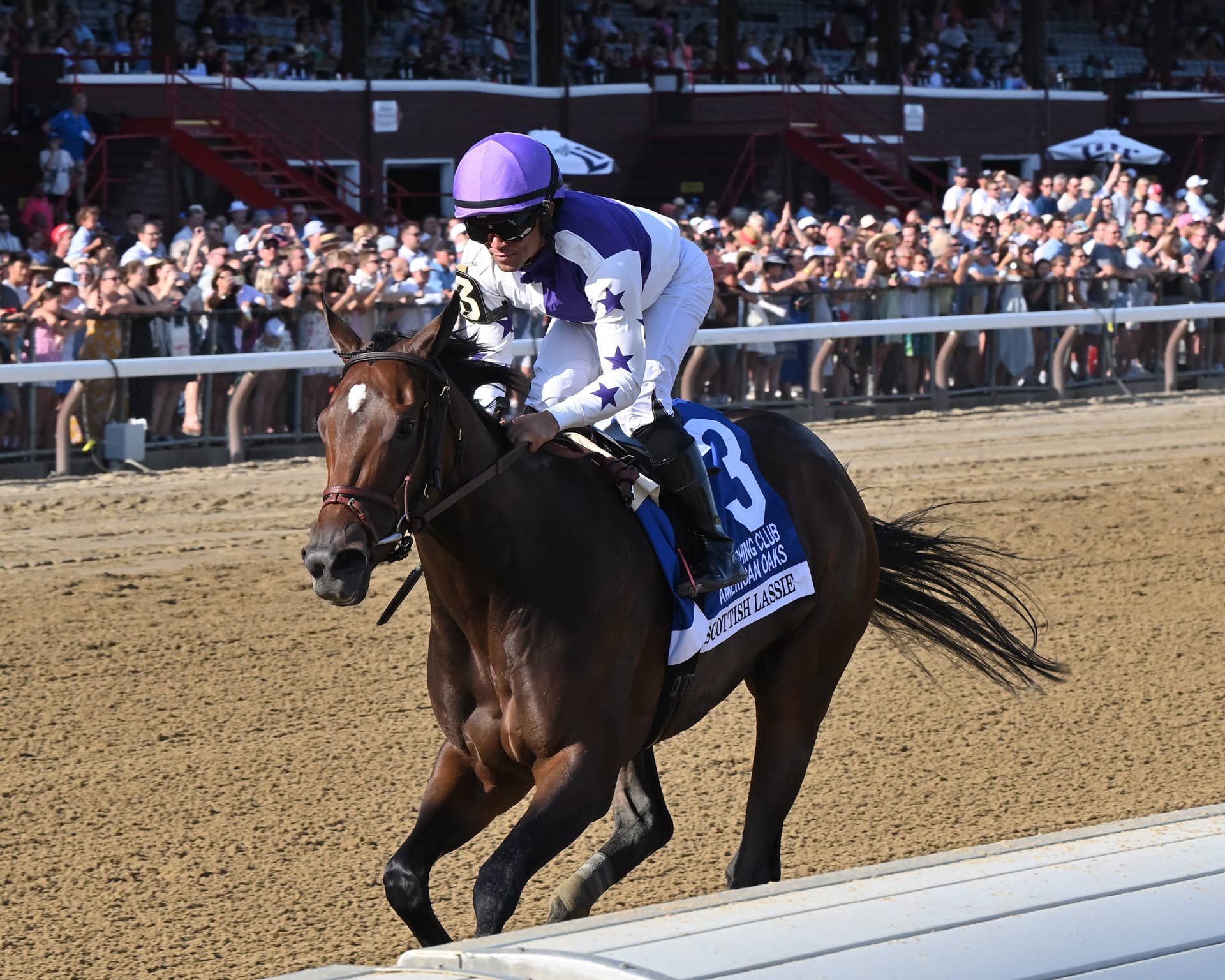 'Timing Is Everything': Scottish Lassie Back To Work At Saratoga ...