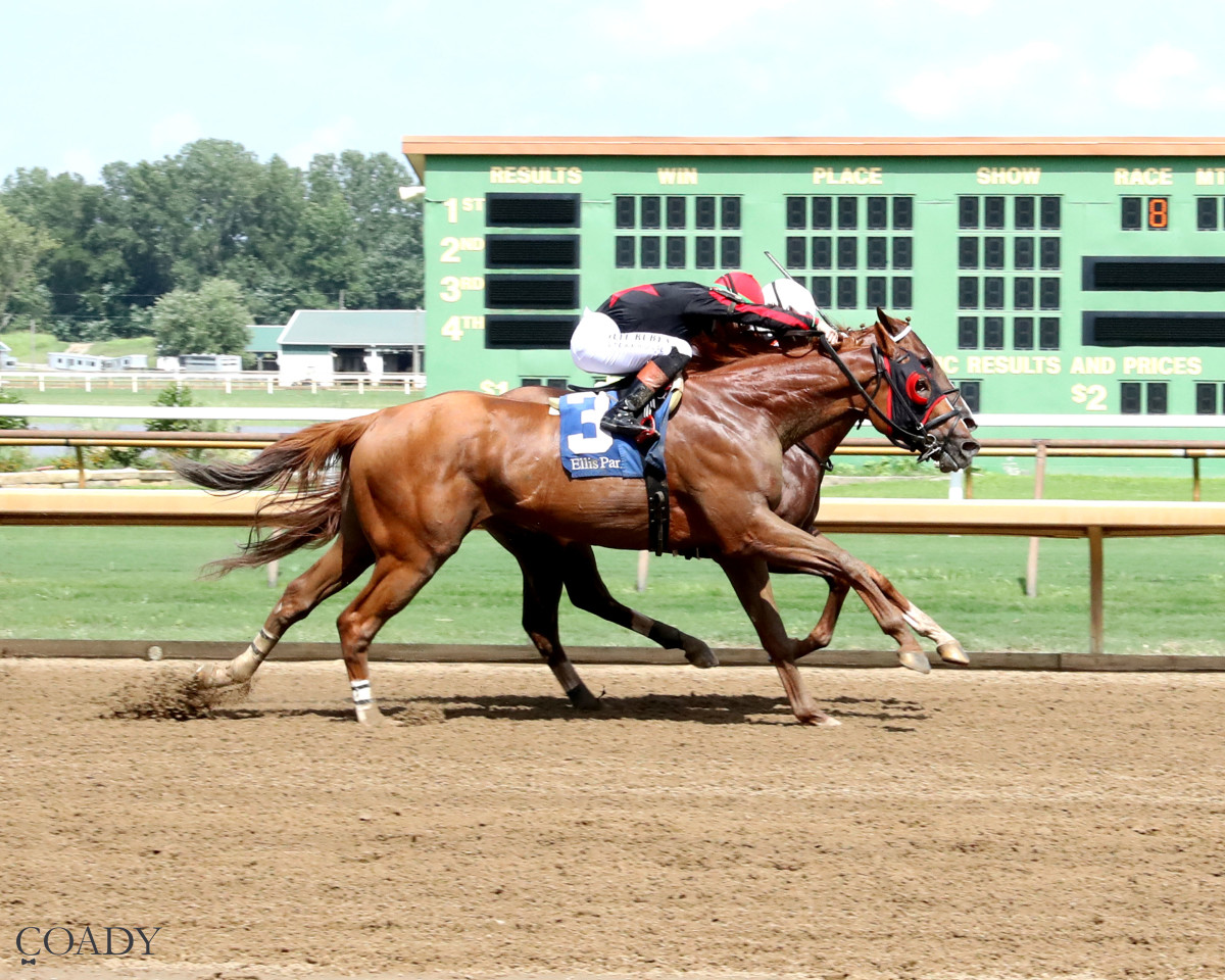 Banishing Nails Booth In Final Strides In Jeff Hall Memorial - Paulick ...