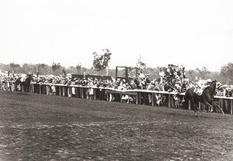 Bloodlines Presented By Walmac Farm: Jim Dandy's Shovel In The ...