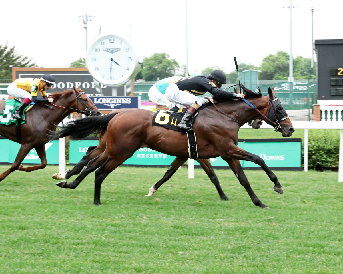 Native Runner To Vie For Breakthrough Stakes Win In Ky Downs Preview ...