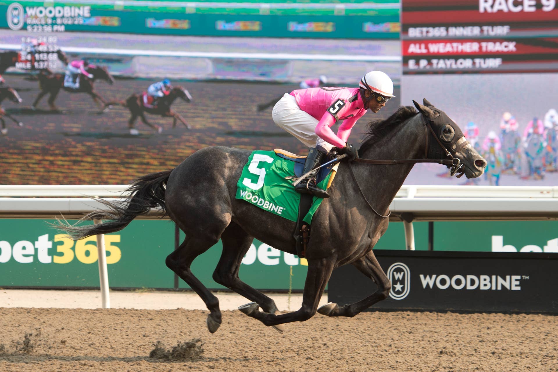 'All Class': Swift Delivery Notches First Stakes Win In Seagram Cup ...