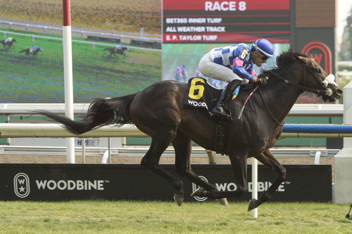 Stanley House Makes All The Pace In Niagara - Paulick Report | Latest ...